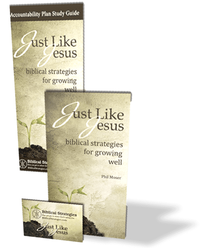 Strategies | Biblical Strategies